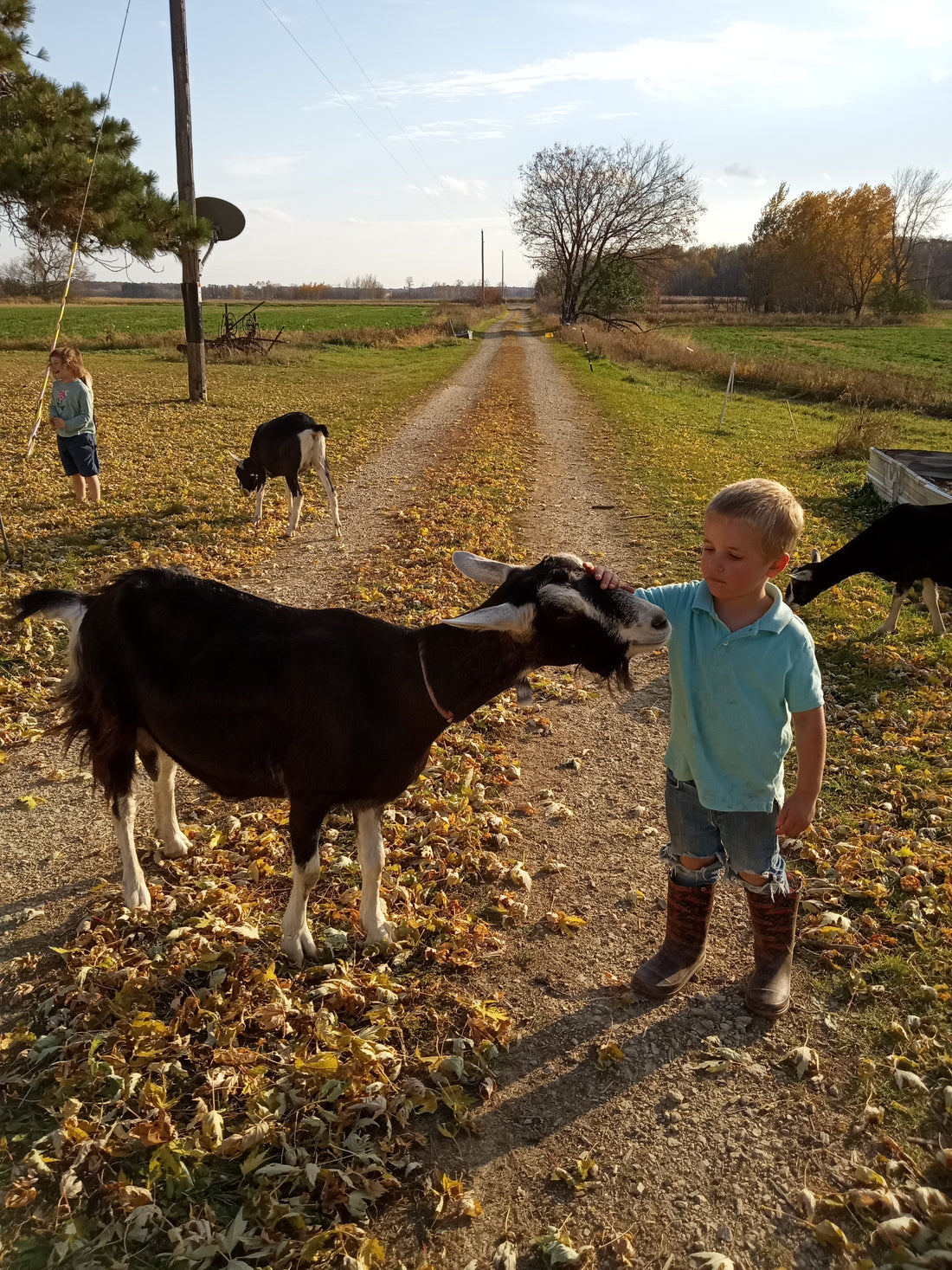 Frequently Asked Questions – Dayspring Farm Soap Company